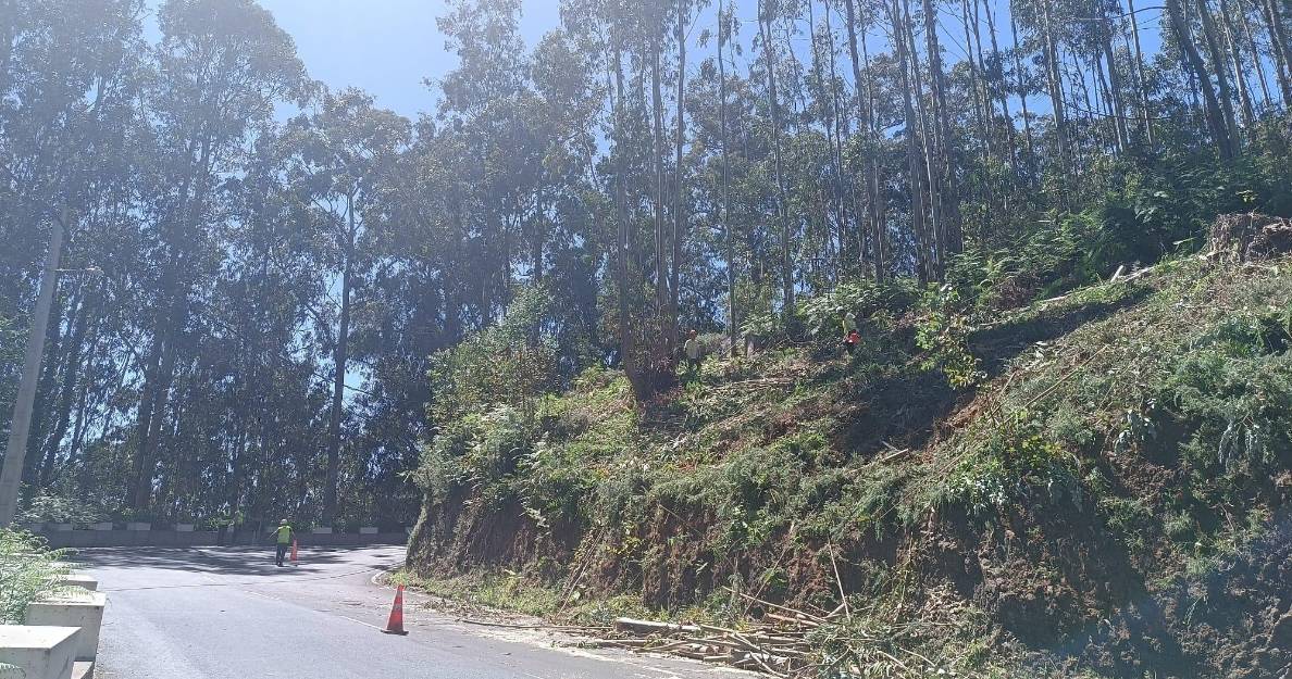 Limpeza de mato na estrada da Eira do Serrado para prevenção de fogos