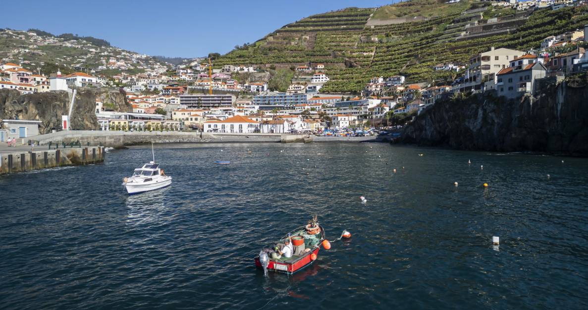 São Pedro: Câmara de Lobos disponibiliza autocarros gratuitos