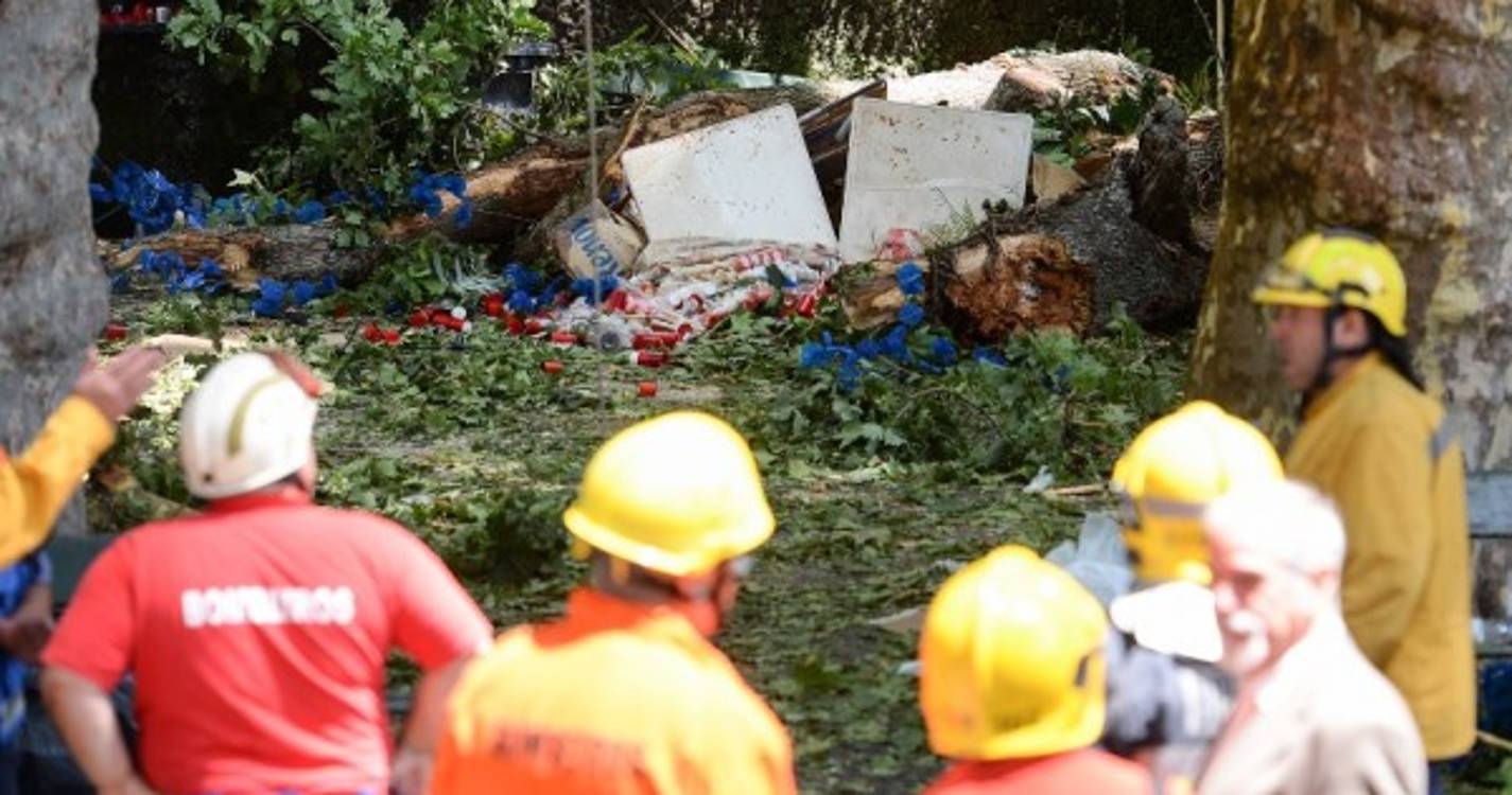 Caso do Monte: "Só sei que fiquei sem o meu marido", diz mulher de uma ...