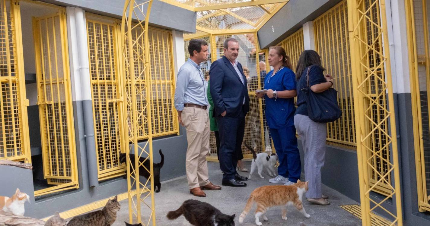 PSD-M reforça compromisso em tornar a causa animal “abrangente e ...