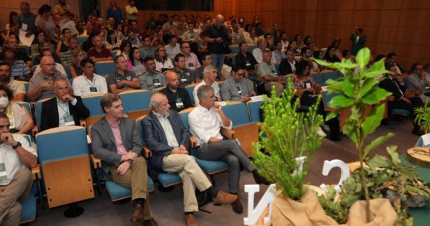 72 hectares ardidos em 2021