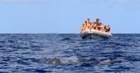 Programa Blue Azores apoia dezenas de iniciativas em defesa do oceano