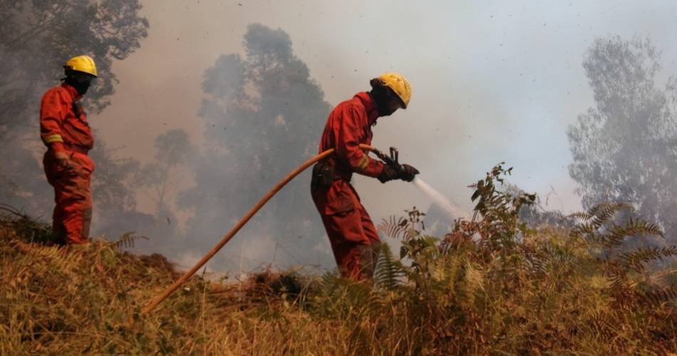Incêndios: GNR deteve este ano 103 pessoas, mais 35 do que em todo o ...